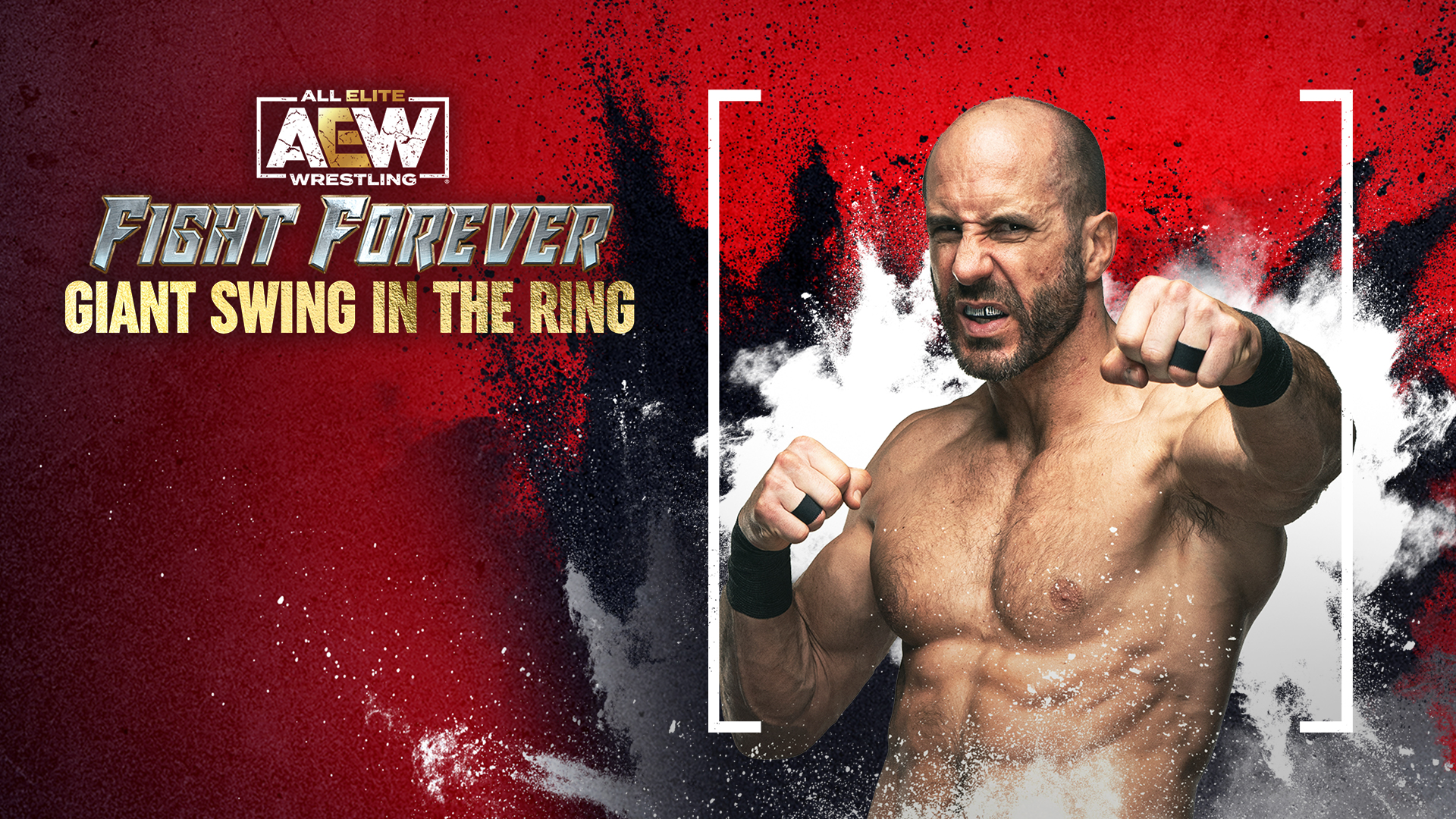 AEW: Fight Forever Giant Swing in the Ring | My Nintendo Store（マイニンテンドーストア）