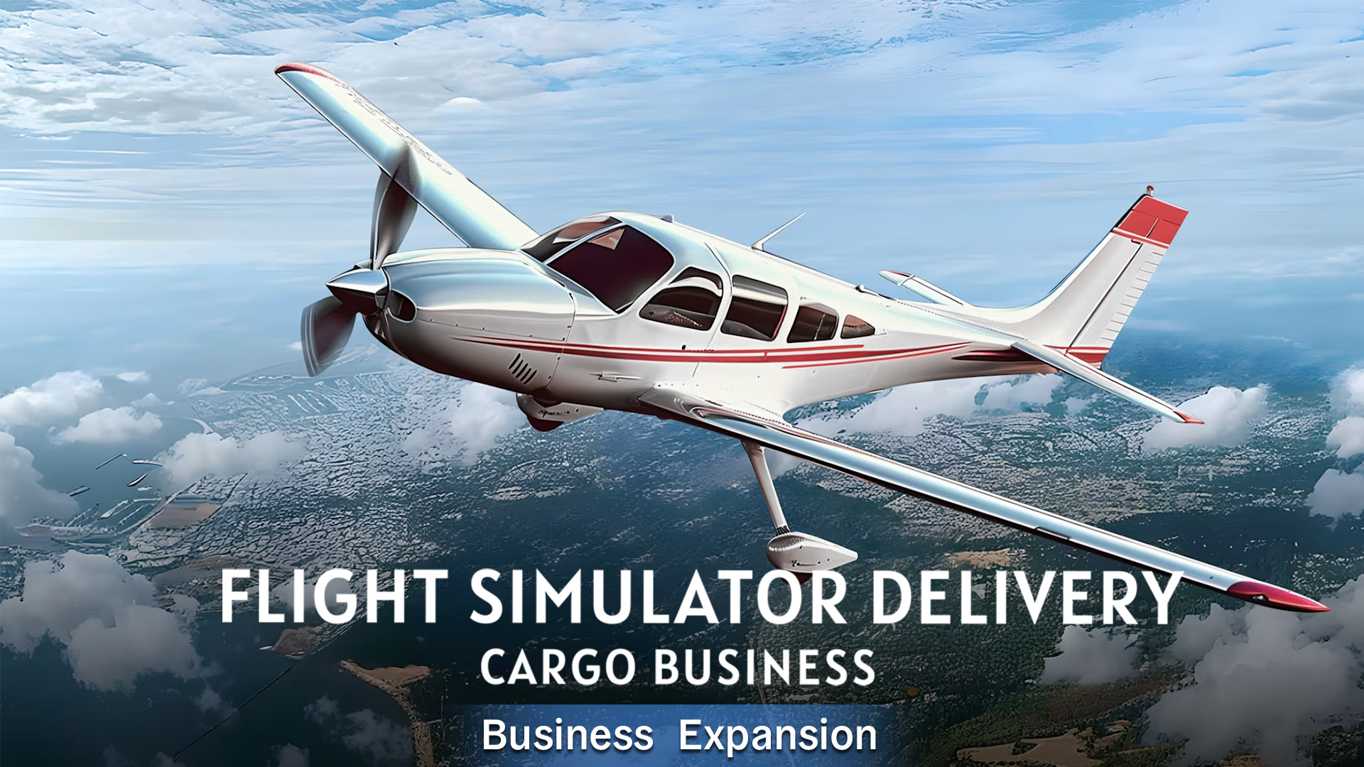 Flight Simulator Delivery – Business Expansion | My Nintendo Store（マイ ...