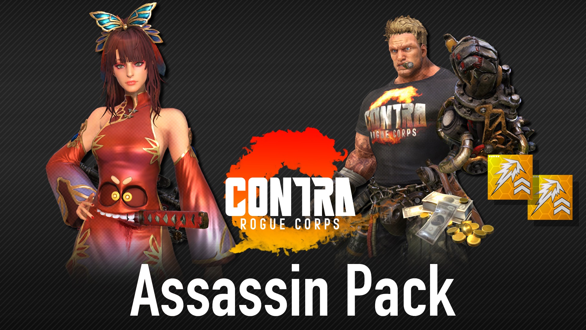 Assassin Pack | My Nintendo Store（マイニンテンドーストア）
