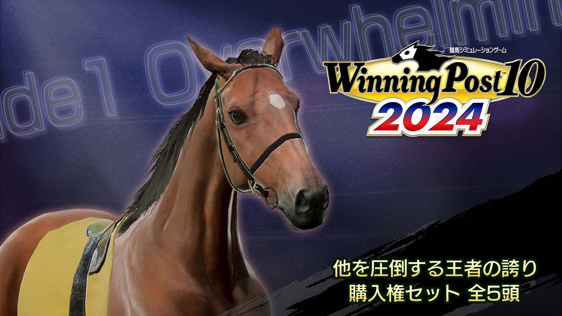 WP10 2024 他を圧倒する王者の誇り 購入権セット 全5頭 | My Nintendo Store（マイニンテンドーストア）