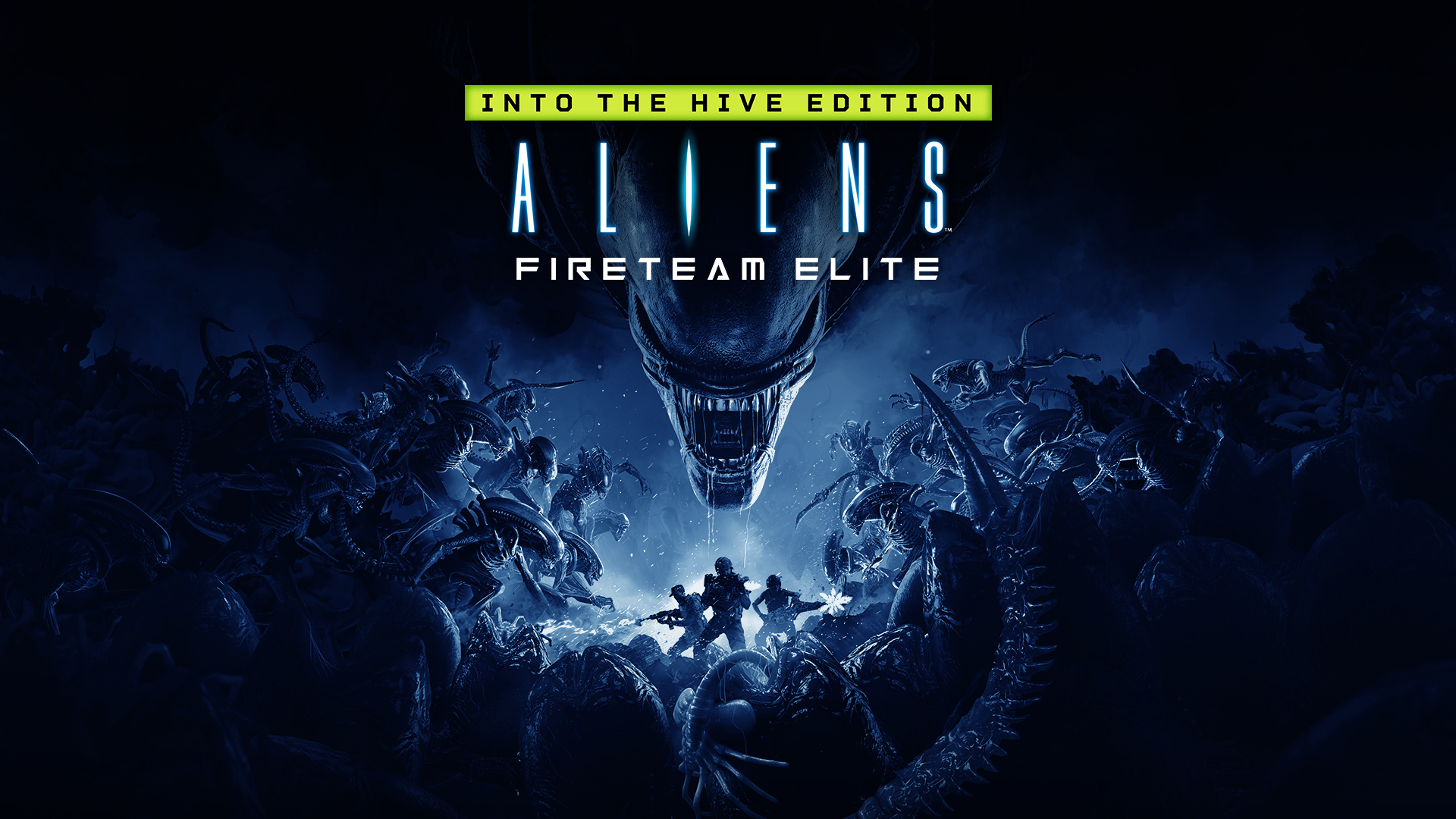 Aliens: Fireteam Elite - Into the Hive Edition | My Nintendo Store（マイ ...